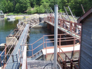 Our Environmental Practices | Woodland Pulp LLC