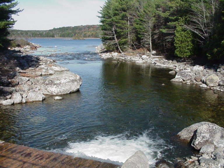 Purchasing - Woodland Pulp