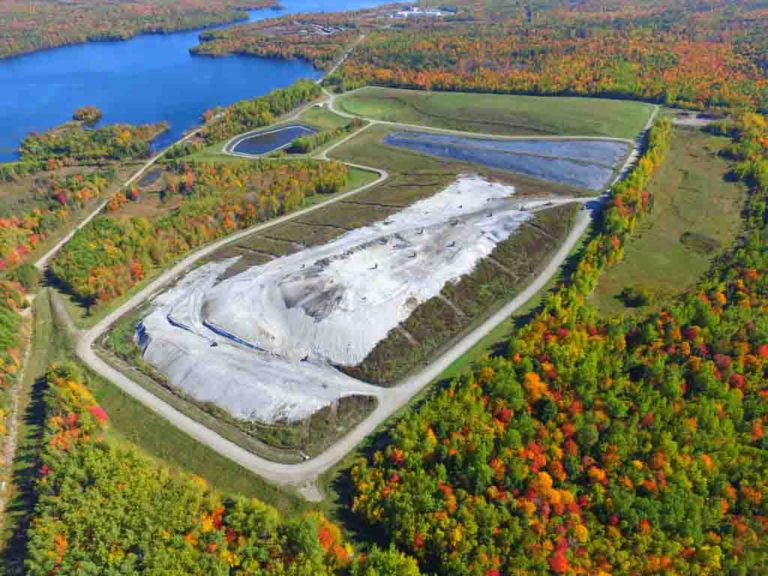 Purchasing - Woodland Pulp